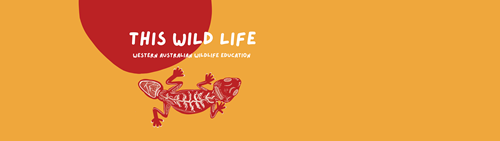 This Wild Life Education | Sticky Tickets